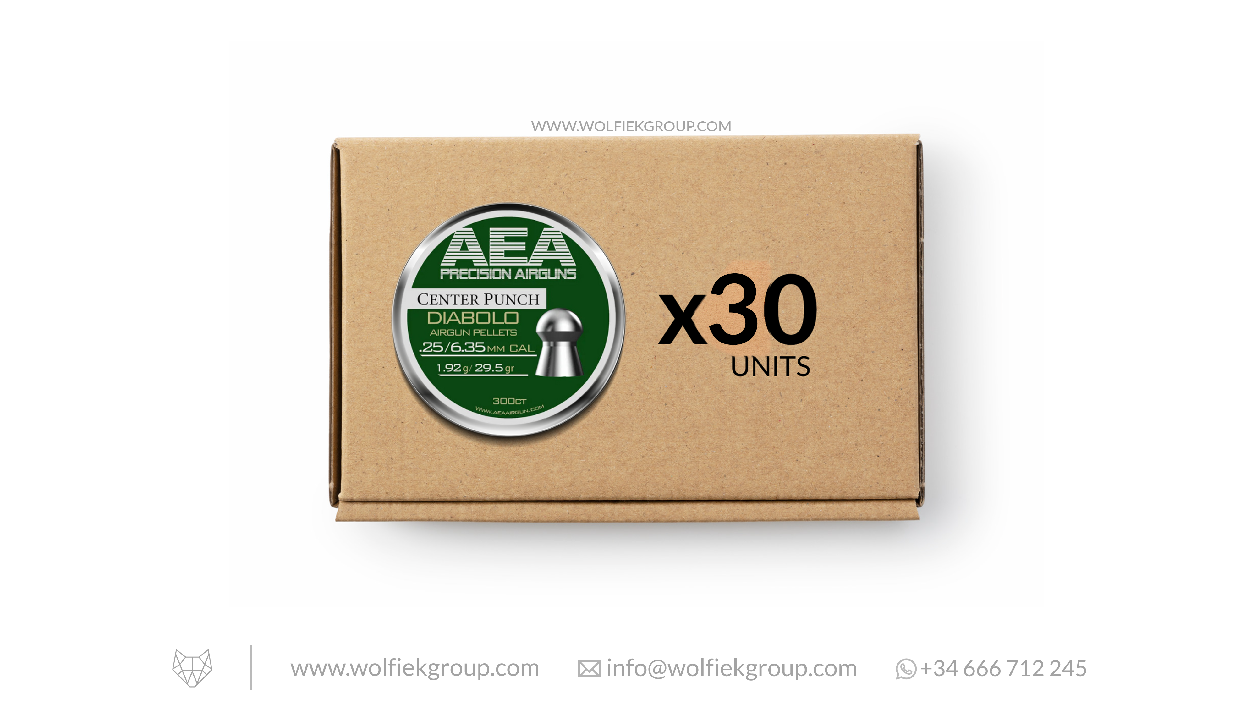 AEA · Master Box · Center Punch Diabolo Pellets · Cal .25 (6.35mm) · W – AEA Airguns Shop